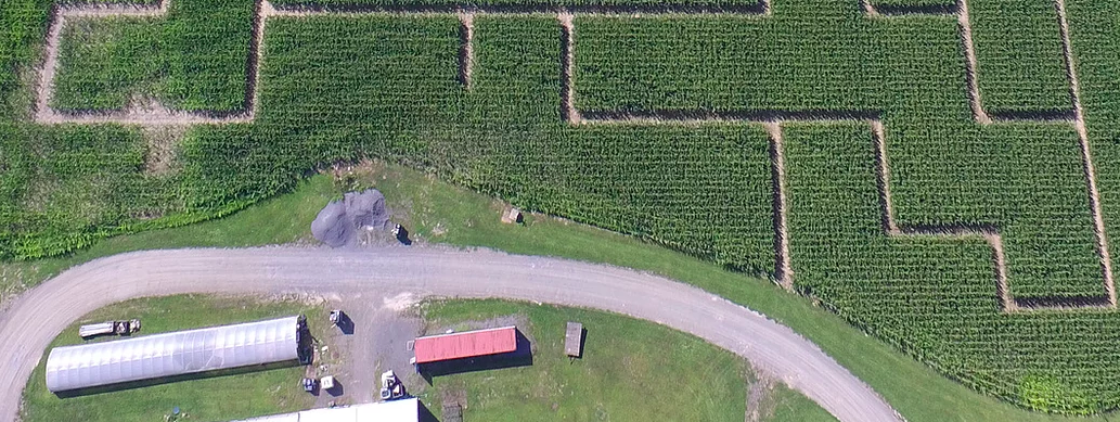 Samascott’s Annual Corn Maze is Open! – Columbia County Current